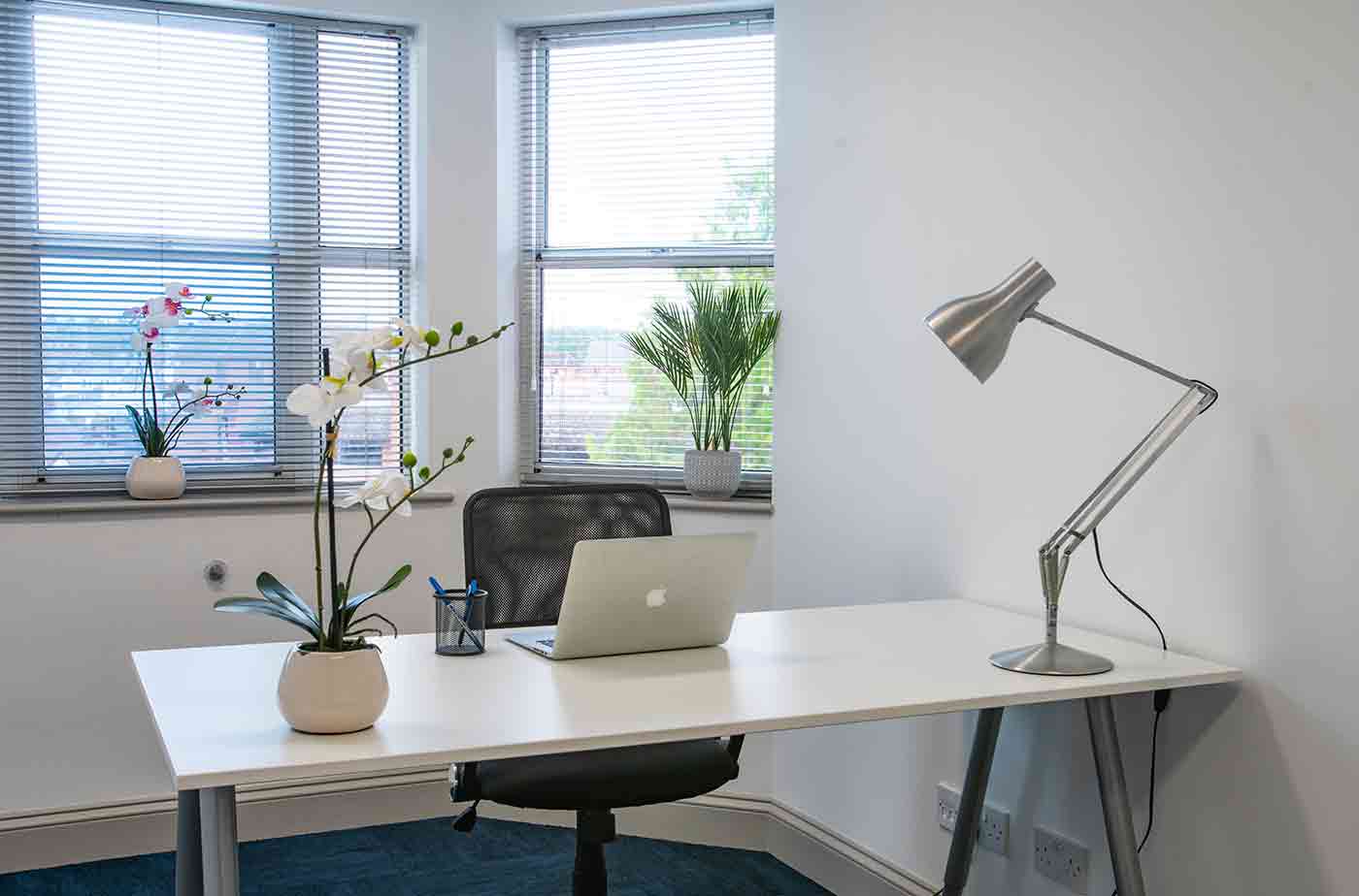 The Importance of Lighting in Crafting the Perfect Office Aesthetic